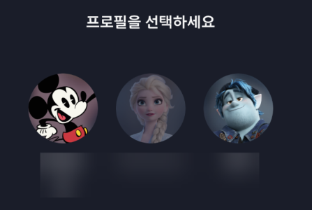 disneyplus.com/verify 인증하기